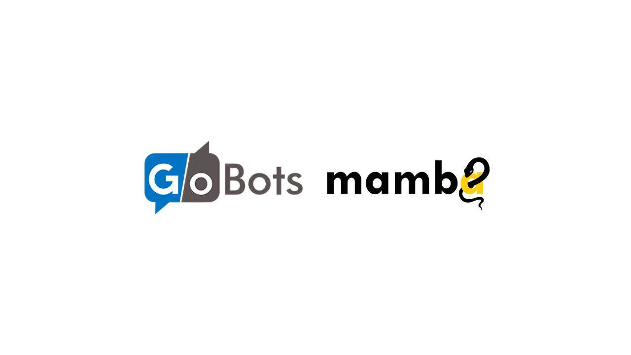 Partner | Mamba | GoBots